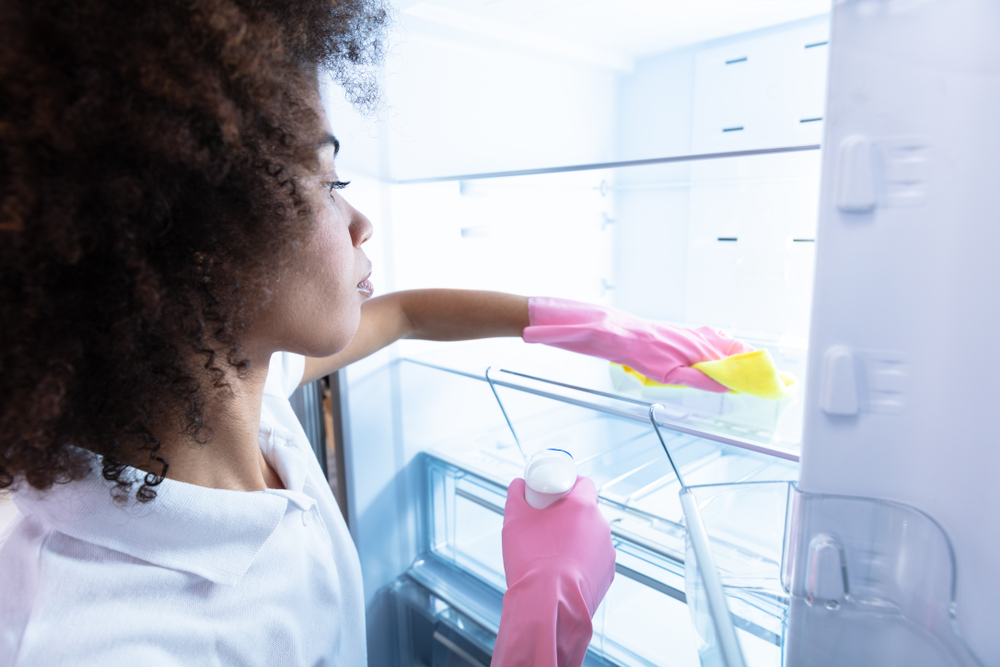 Fridge Deep Cleaning Guide | Jackson Heights, NY, Maid Services